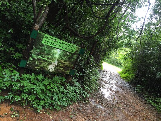 16 Best Places to Visit in Agumbe | Tinton Resorts